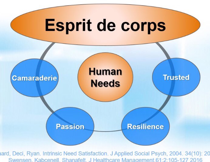 Esprit De Corps In Management