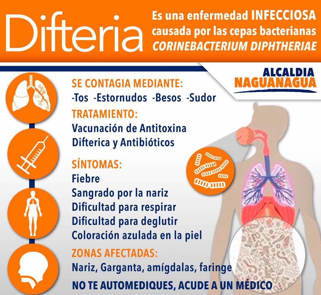 Difteria. contagio: beso, sudor, estornudo, tos. la infección obstruye ...