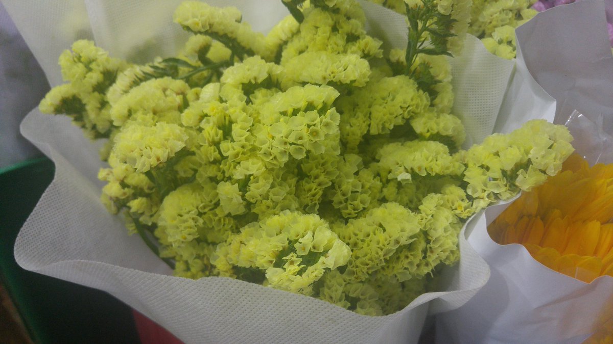 Presyo ng bungkos ng bulaklak sa Dangwa bago ang undas: Sunlight Mums ...