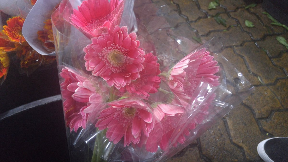 Presyo ng bungkos ng bulaklak sa Dangwa bago ang undas: Sunlight Mums ...