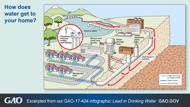 Water Infographic Video