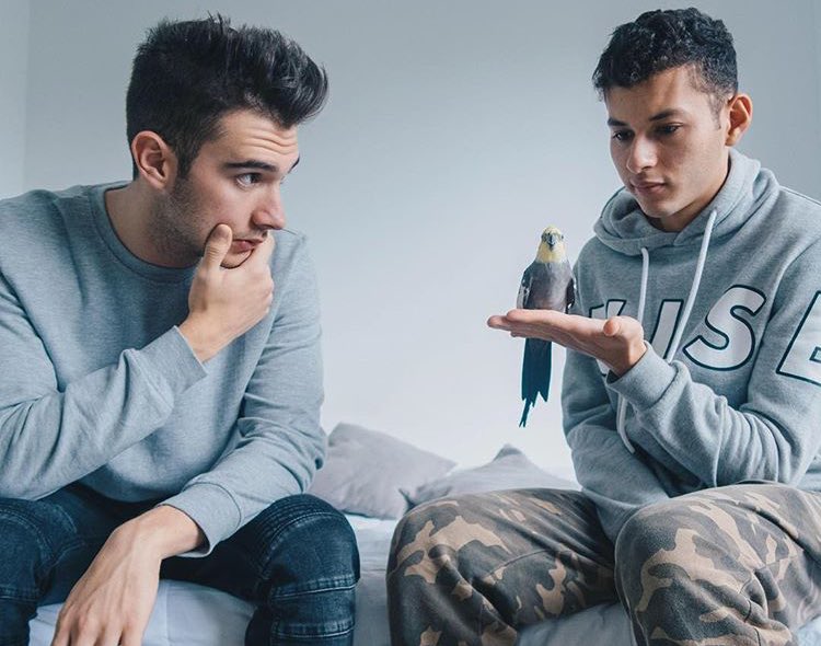 BrosNacion on Twitter: "Que hacemos con Brosny?…