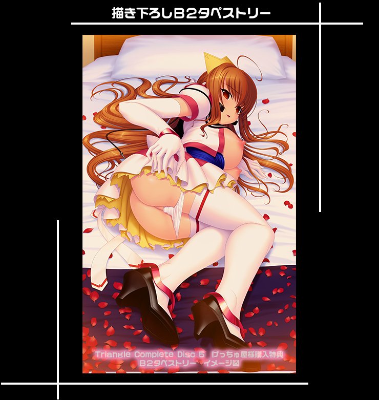 緑のイージス on Twitter: "「Triangle Complete Disc 5」のげっちゅ屋予約特典の更新された画像はこちら https://t.co/0ToIENzMfF ...