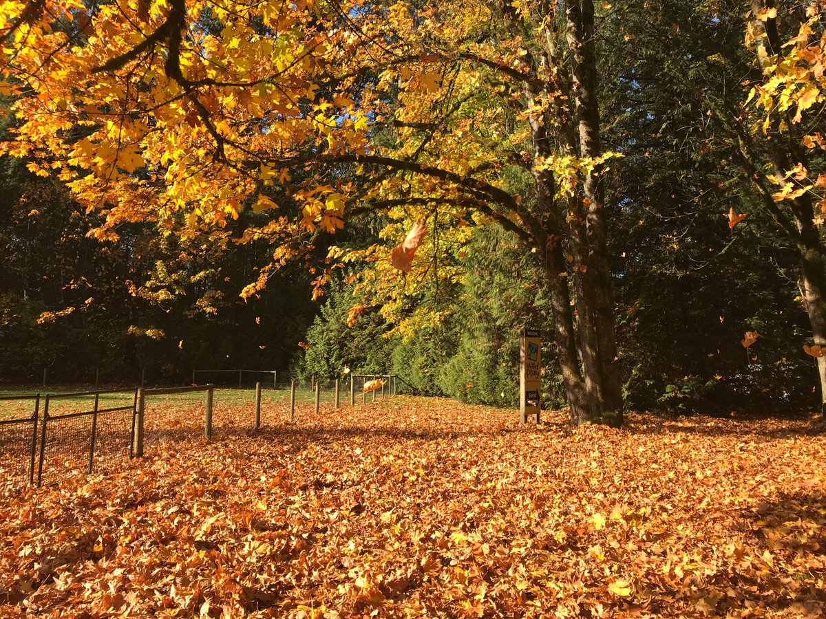 245 best Maple Ridge images on Pholder | Maple Ridge, Vancouver and ...