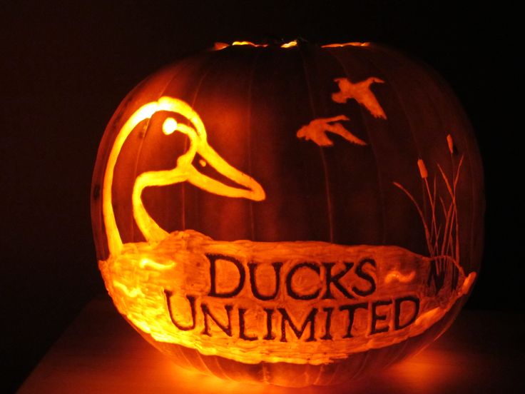 Duck Pumpkin Stencil