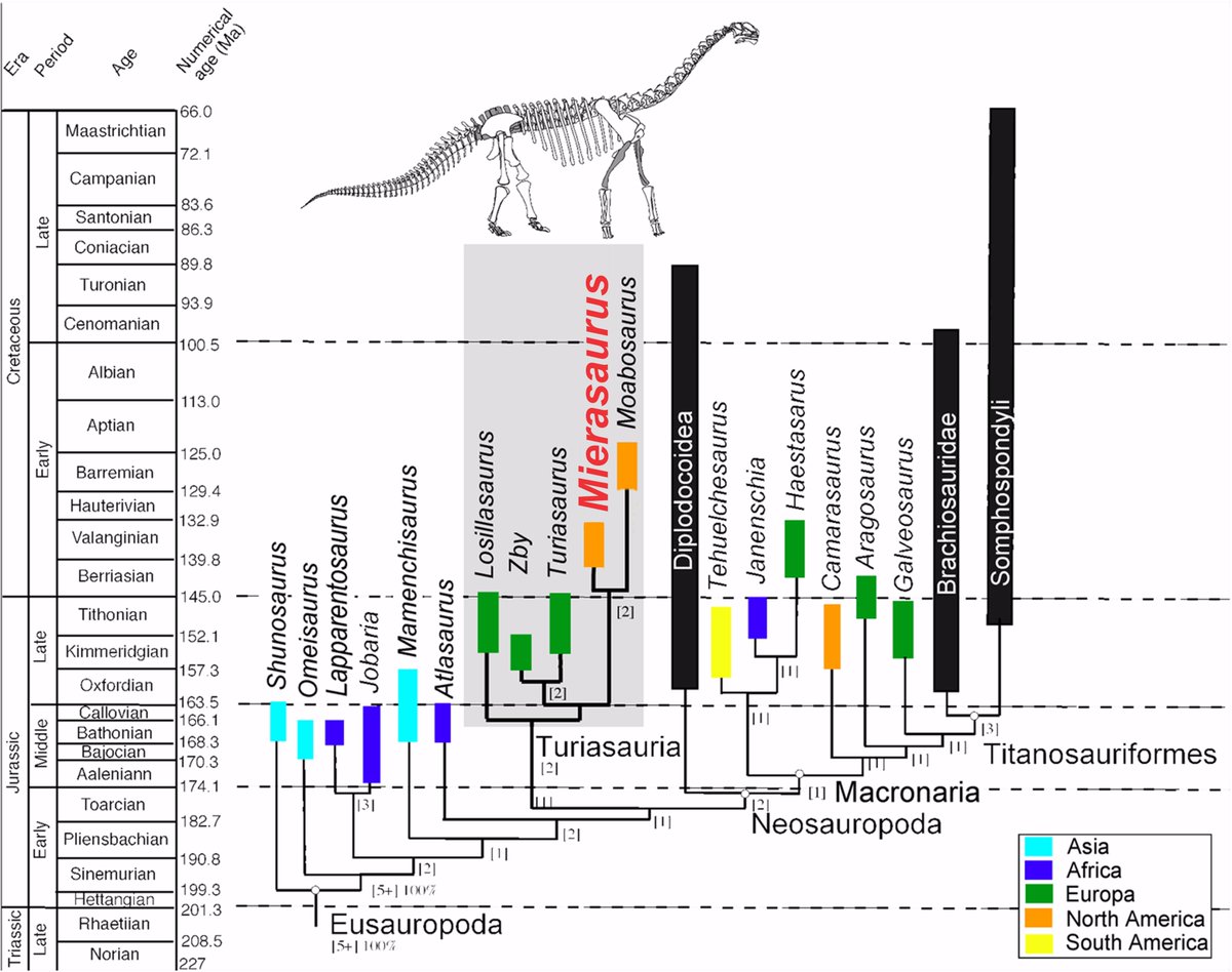 [Find] New sauropods Mierasaurus and Moabosaurus from the Early ...
