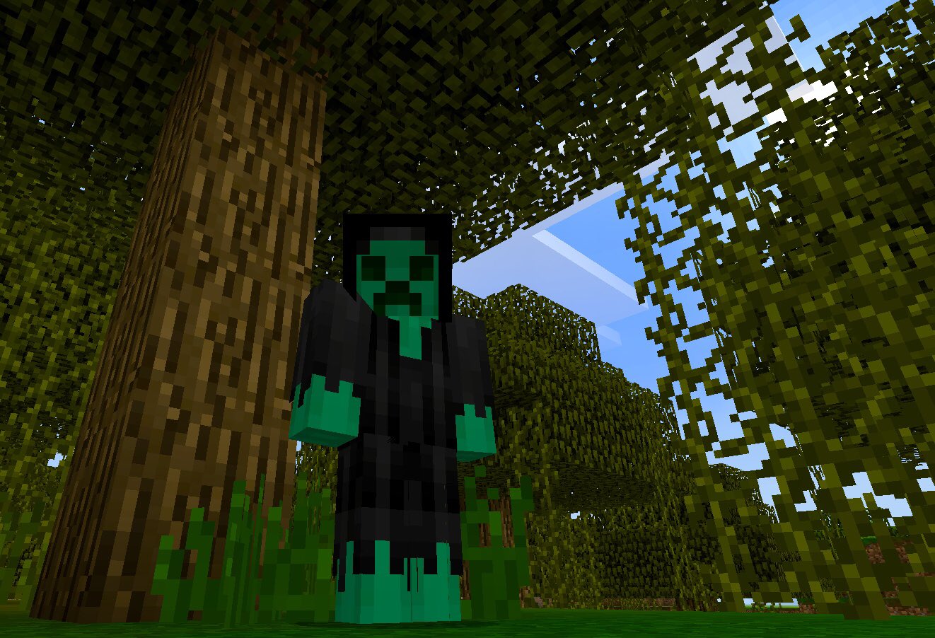 Creeper Skin
