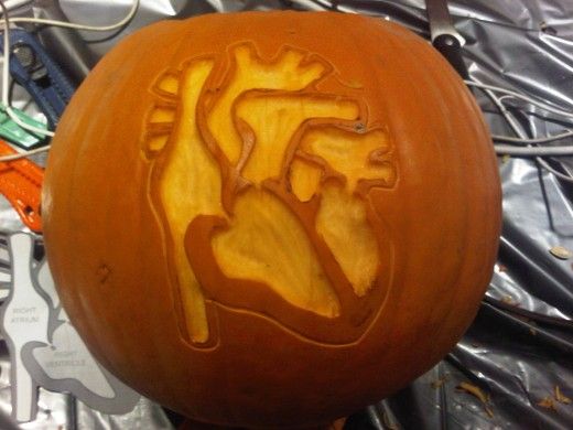 Anatomical Heart Pumpkin Carving