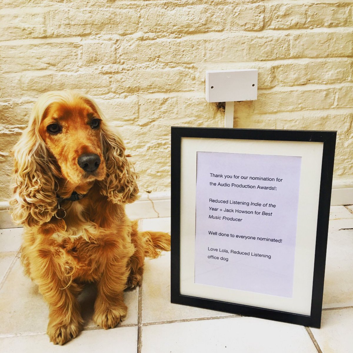 peter (@petermeanwell) | Twitter