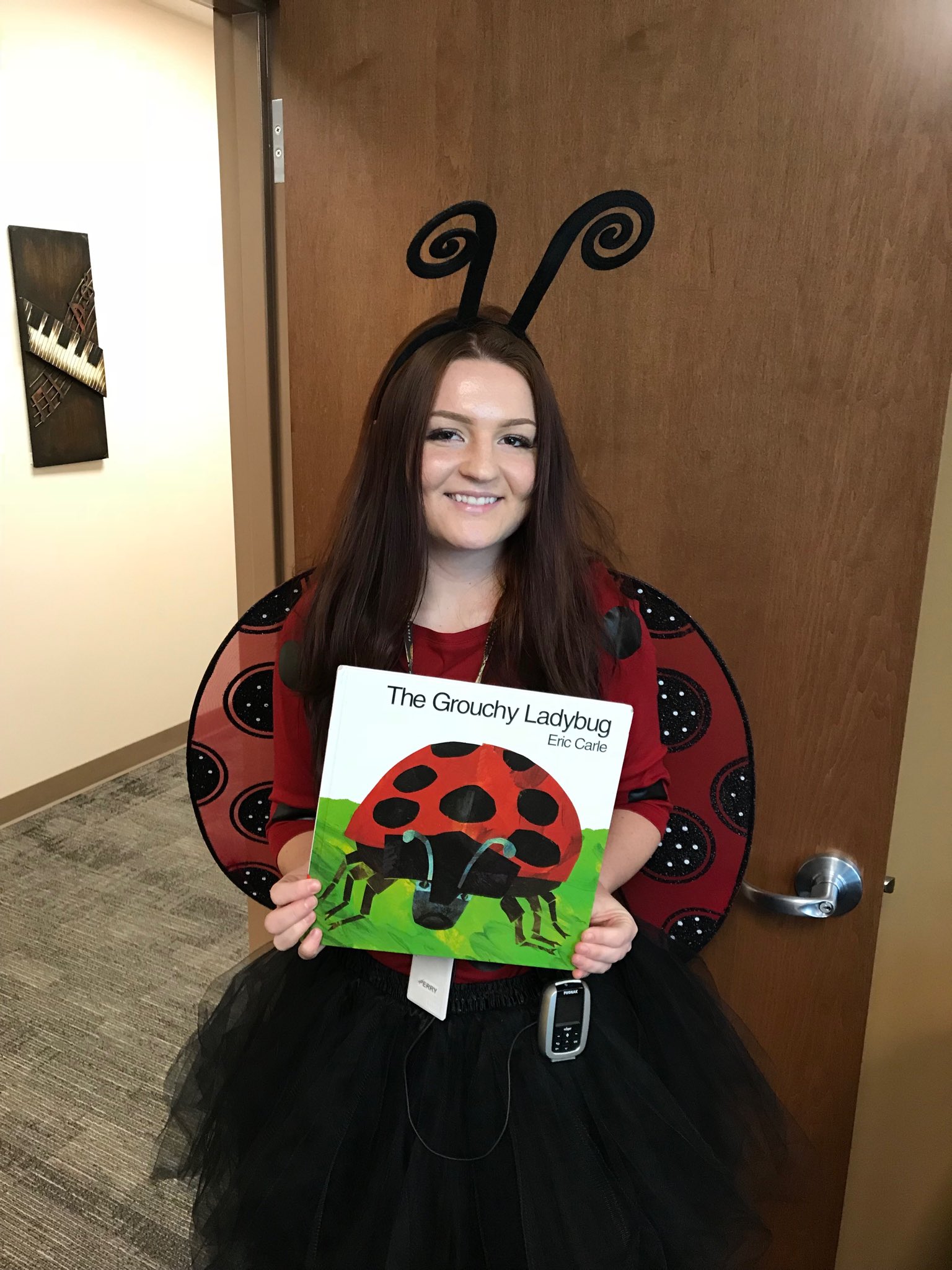 The Grouchy Ladybug Characters