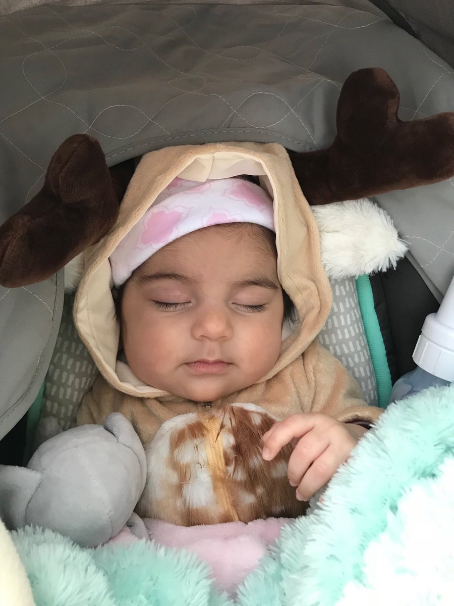 Jacqueline Neglia's Instagram, Twitter & Facebook on IDCrawl