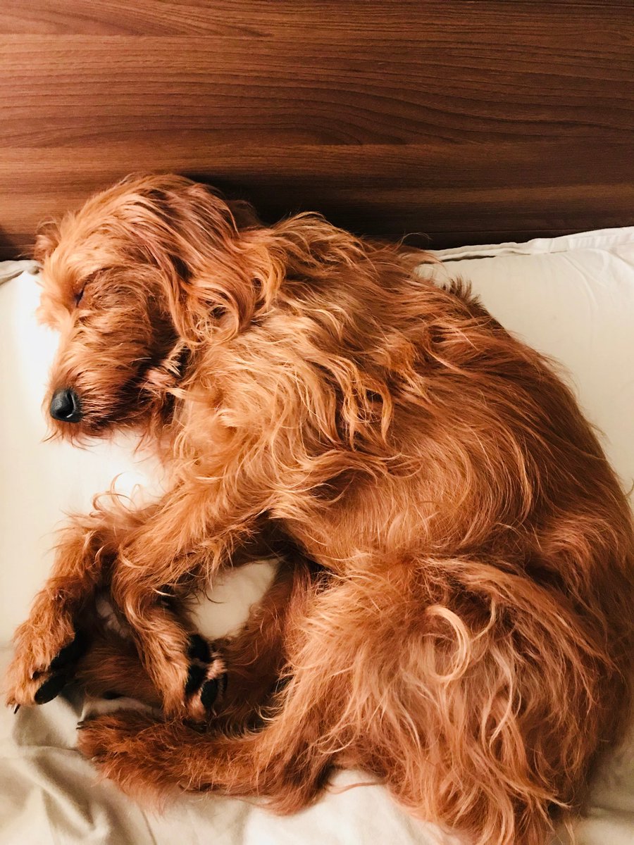 Tara Easterling (@tara_easterling) | Twitter