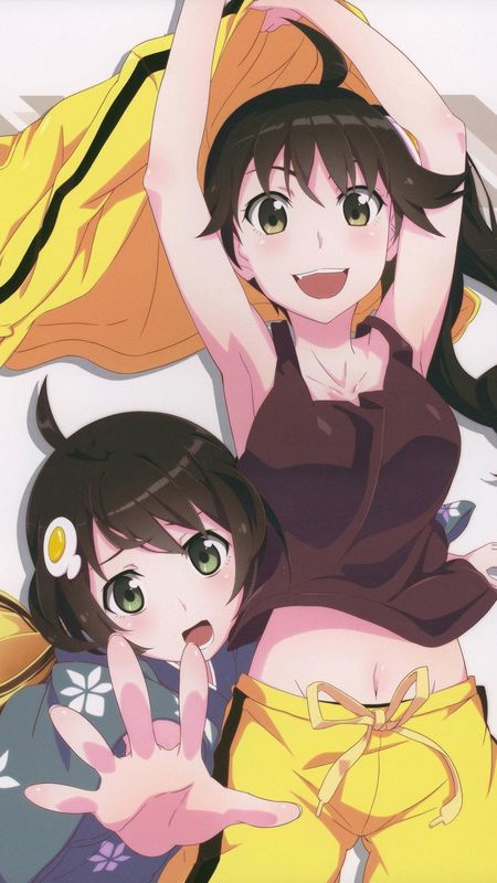 Bakemonogatari Karen