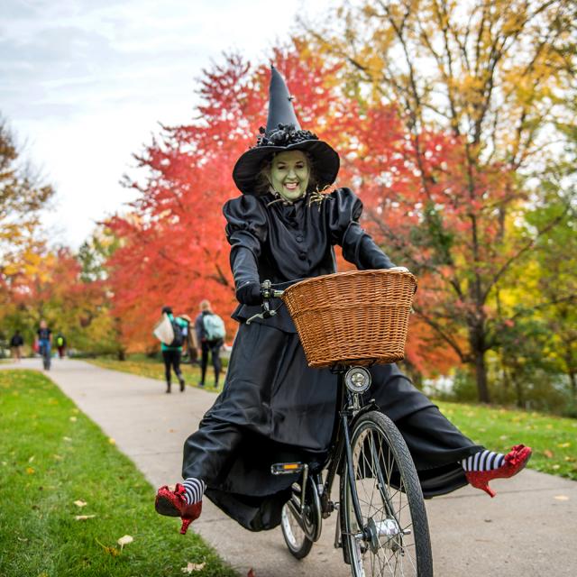 Wicked Witch Of The West Flying On Bike