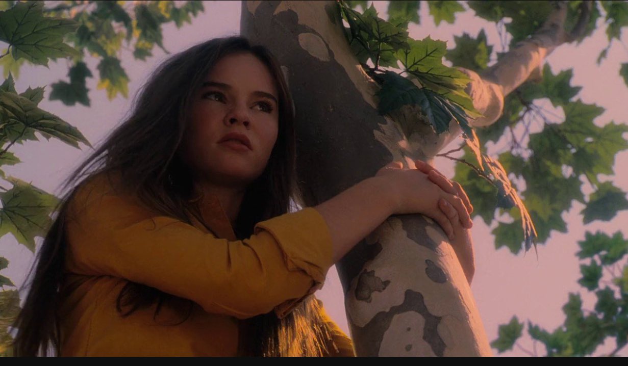 Sycamore Tree Flipped