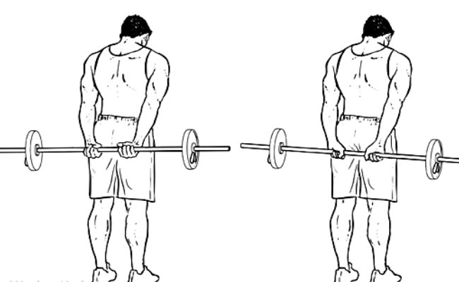 Wrist Curl Behind Back
