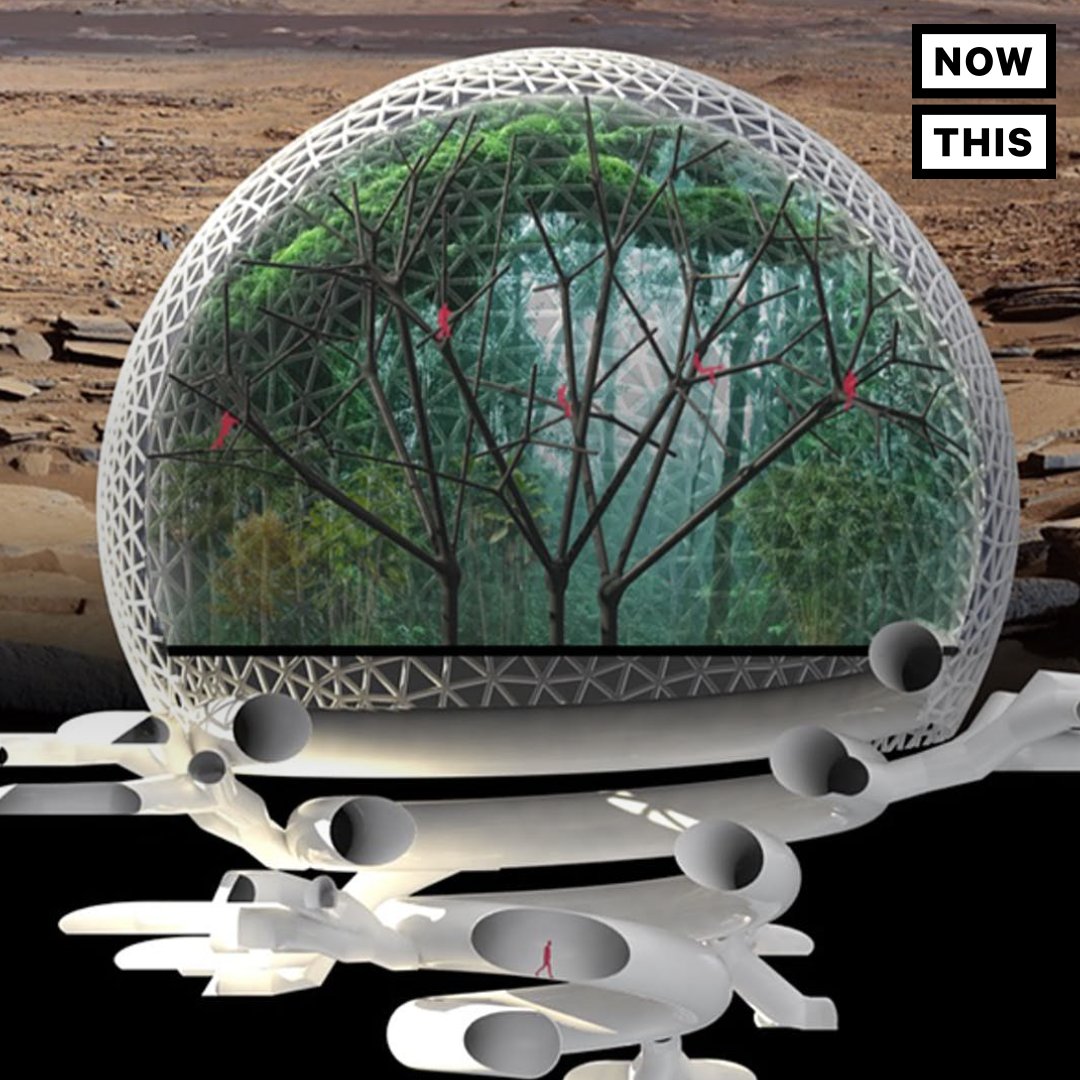According to these MIT researchers, a Mars colony might look a lot like ...