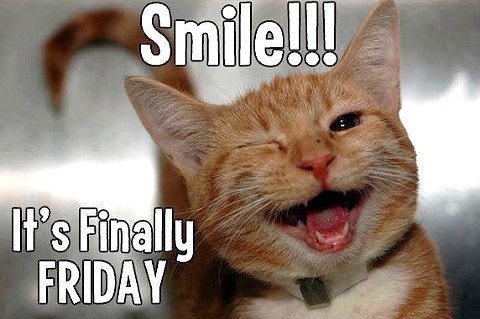 Have A Great Weekend Cat