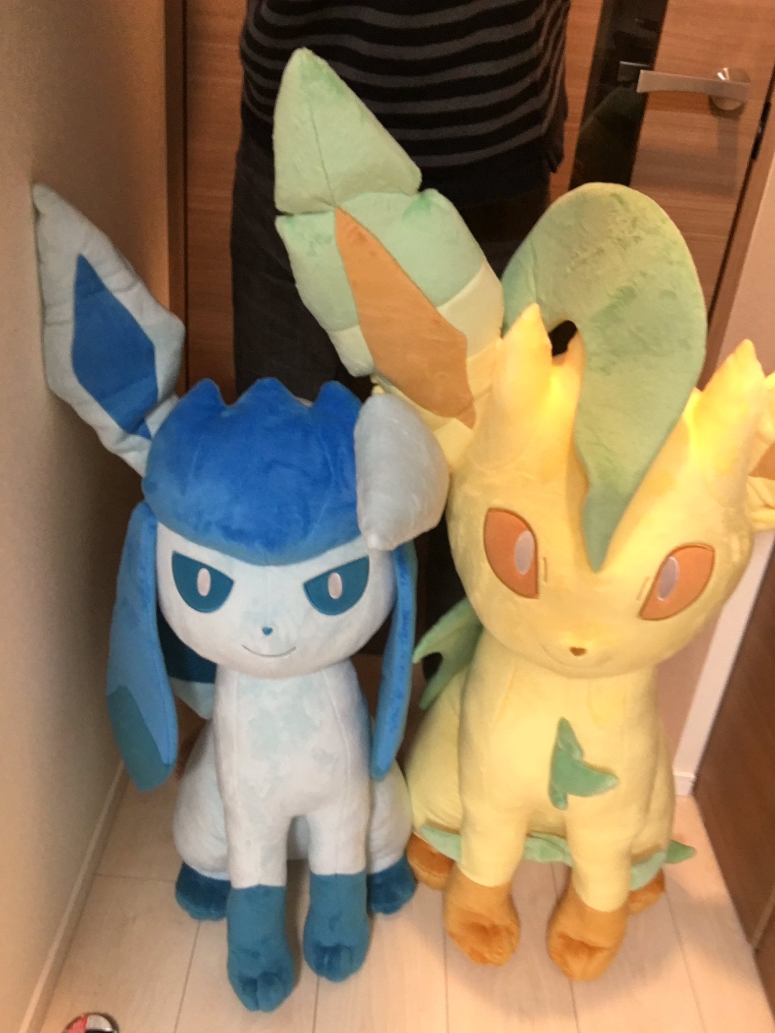 きーそ on X: きーそ on X: