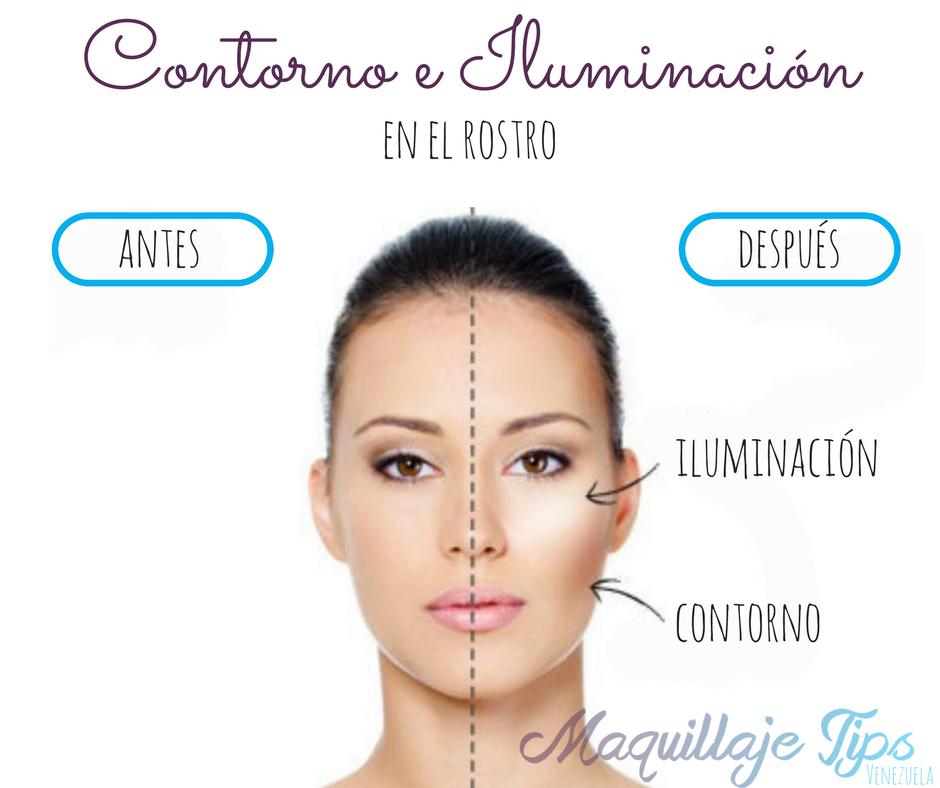 Juguetón fluido deuda iluminacion y contorno del rostro mago Oso polar ...