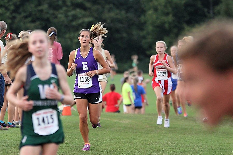 Taylor Werges (@twergesEHS_hub) | Twitter