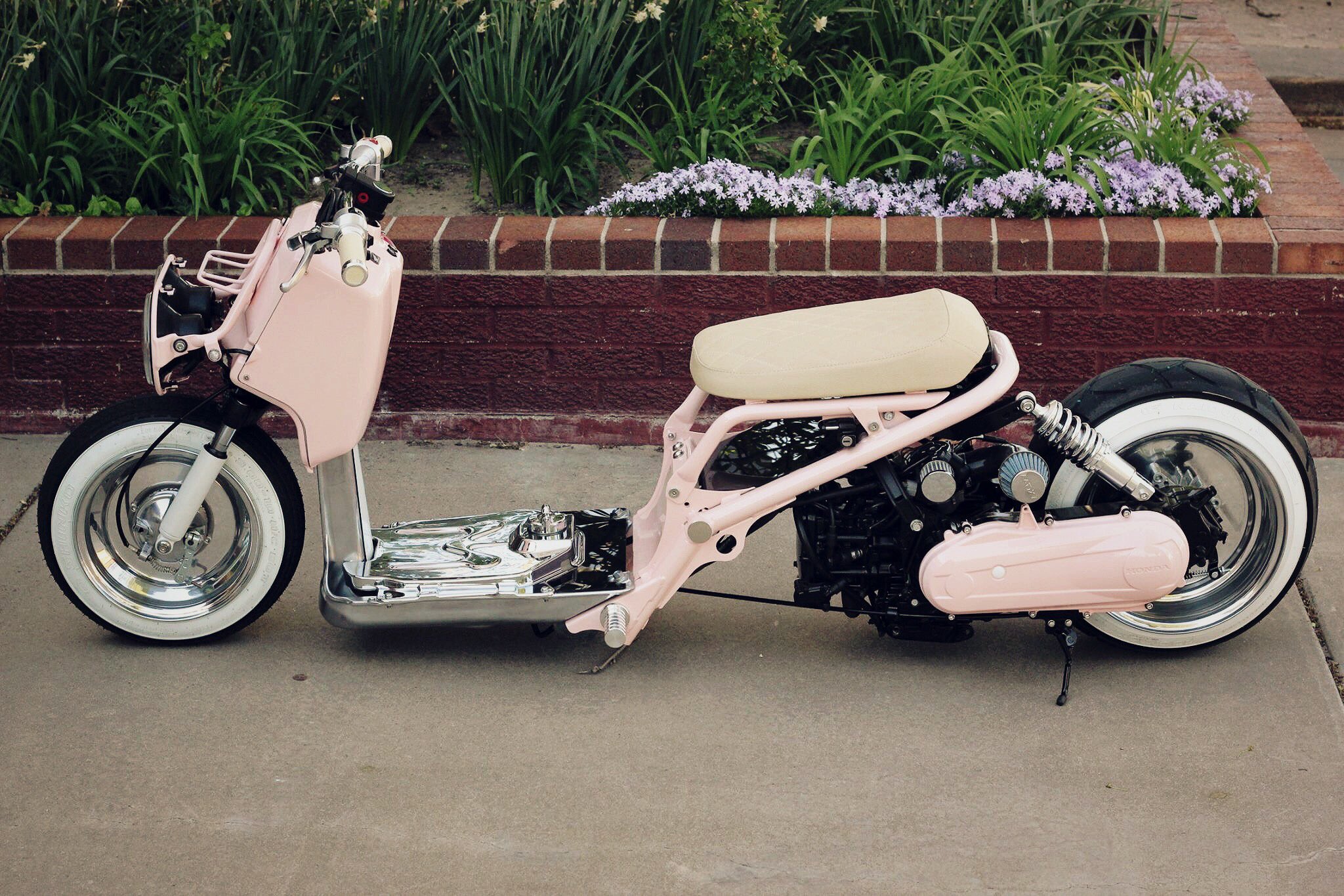 Slammed Honda Ruckus