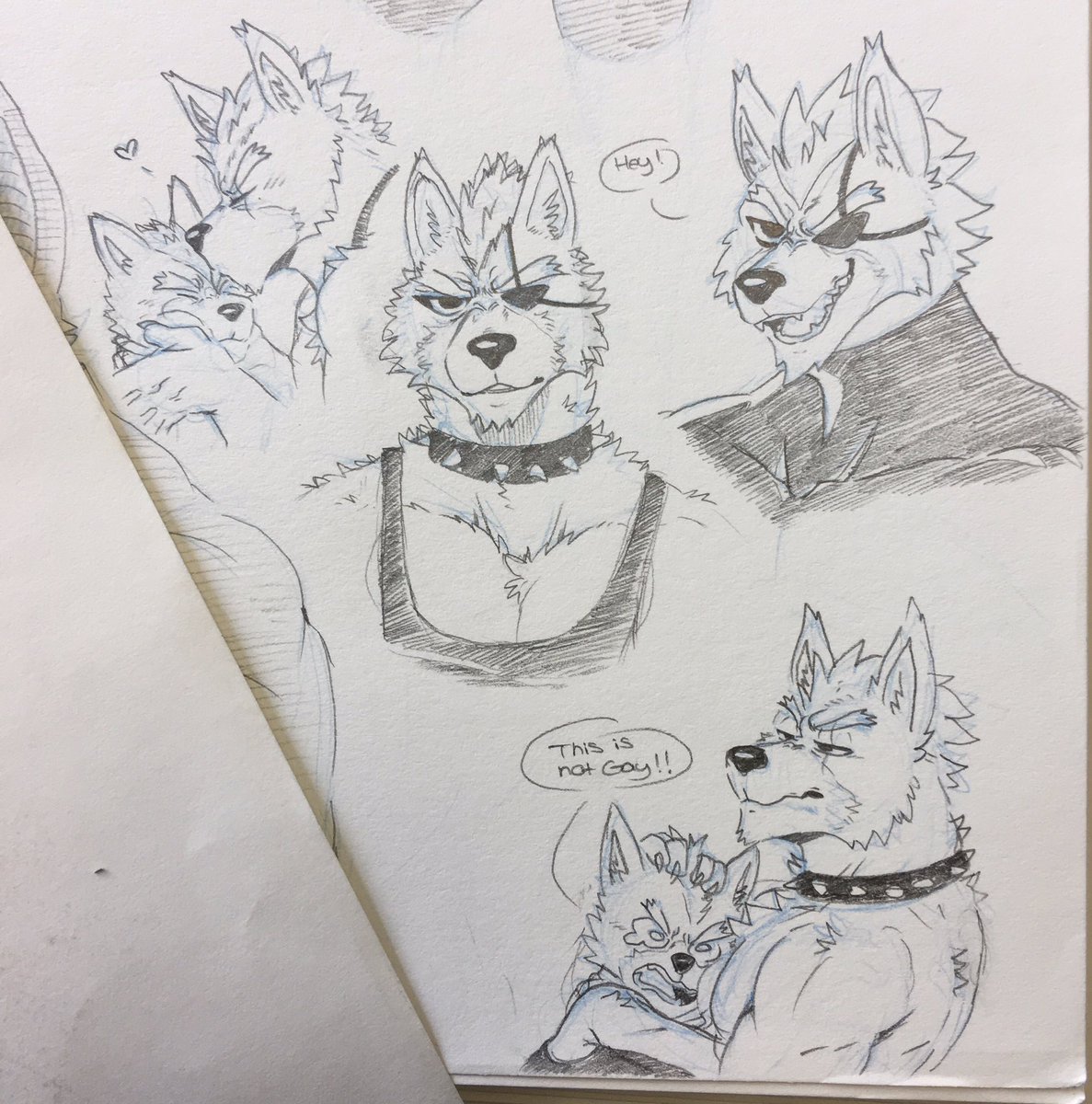 Fox Mccloud And Wolf Odonnell