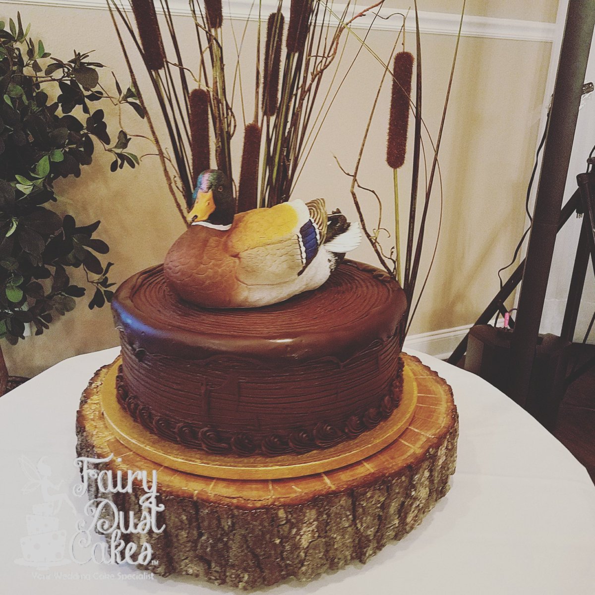 Mallard Duck Cake