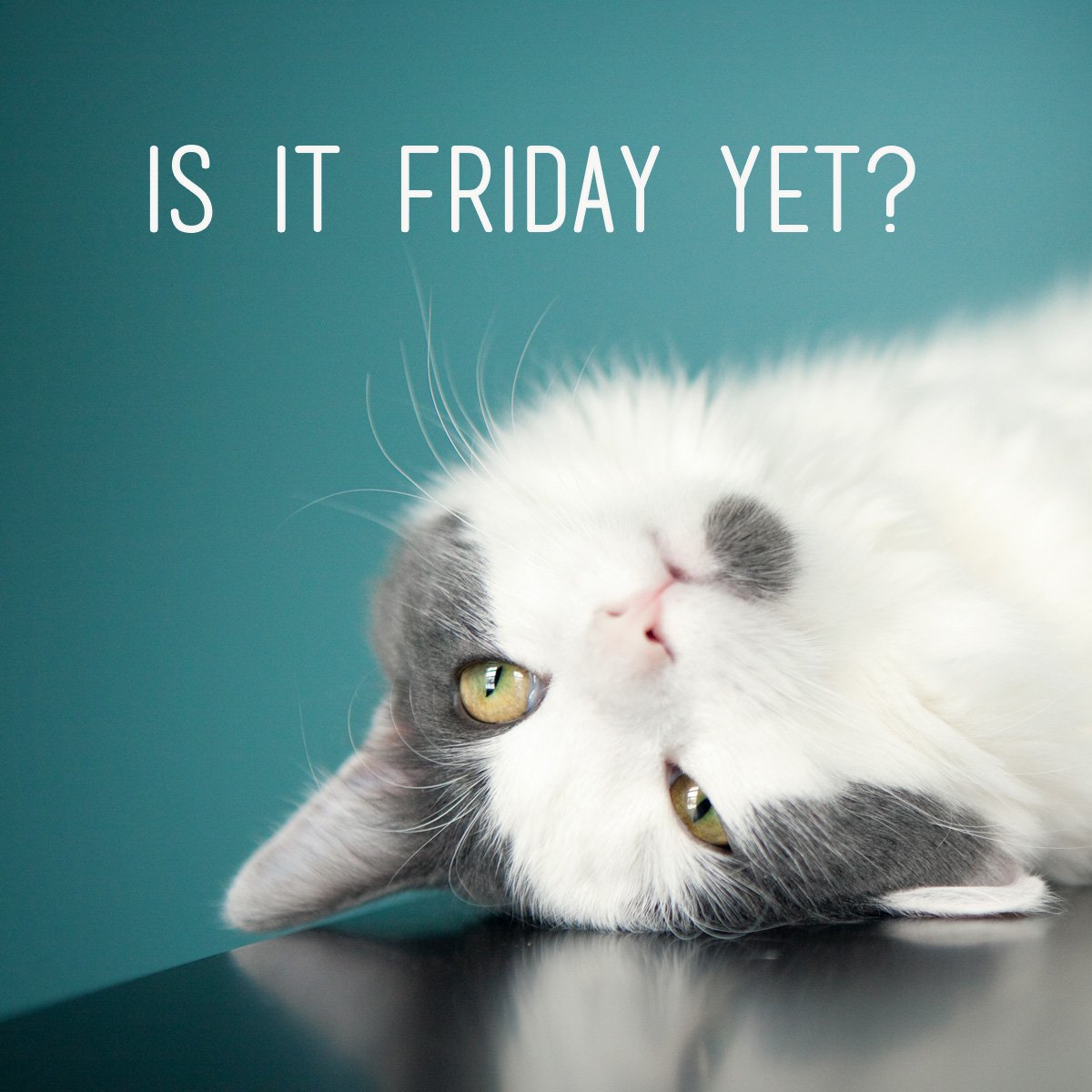 Is It Friday Yet Quotes