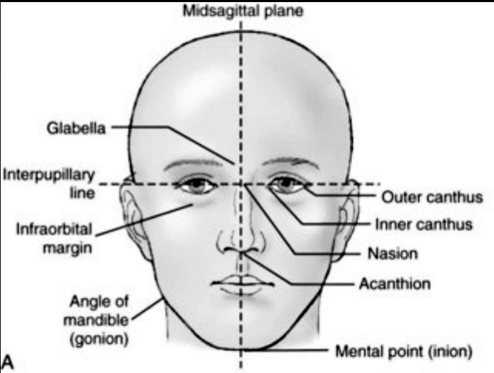 كما أن الأرض لها خطوطها الوهمية لتسهيل تحديد مواقع الأشياء عليها كذلك ...