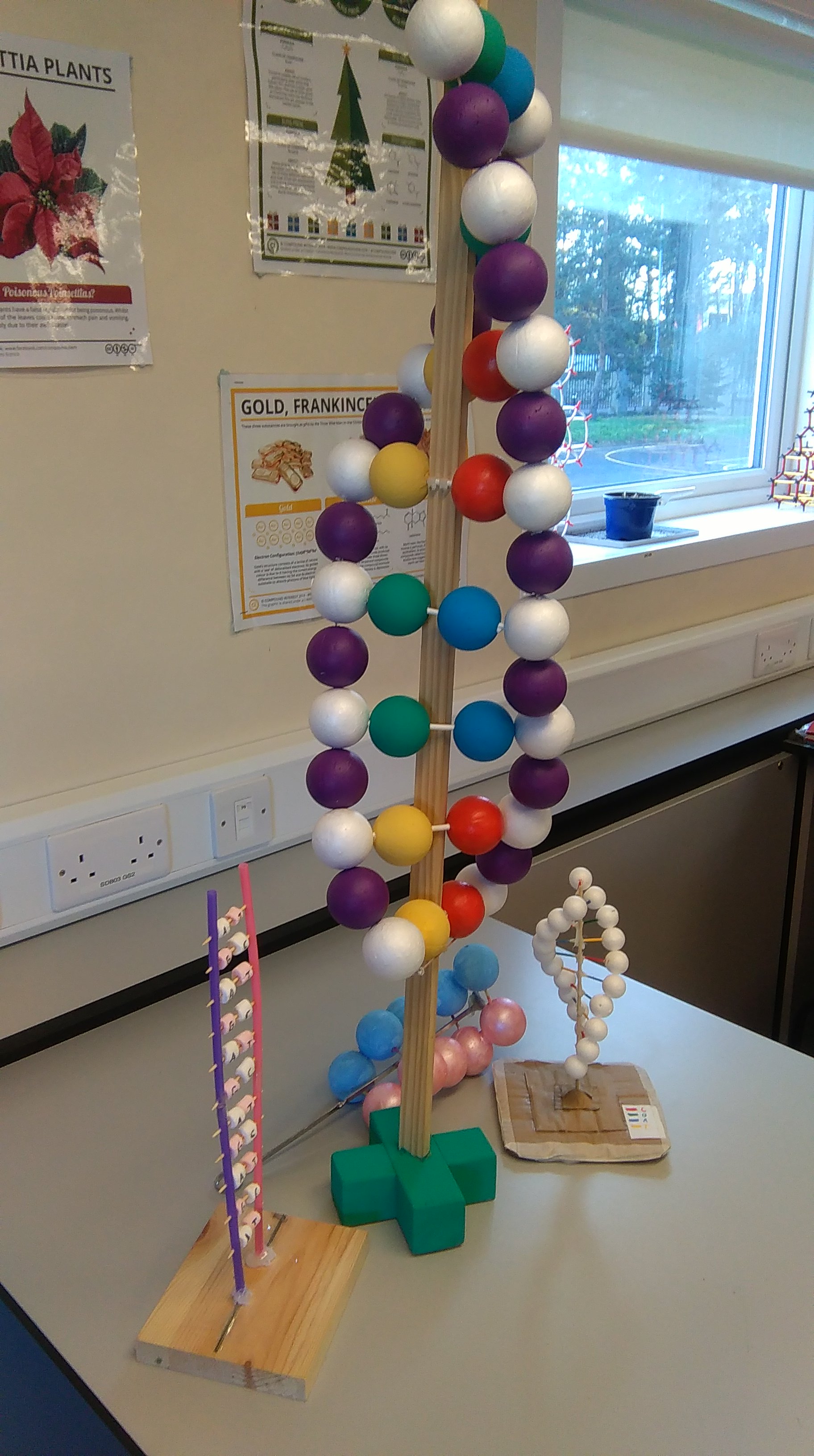 Dna Double Helix Model Project Ideas