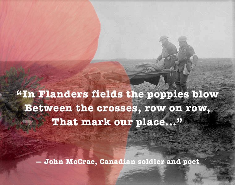 In Flanders Fields Quotes