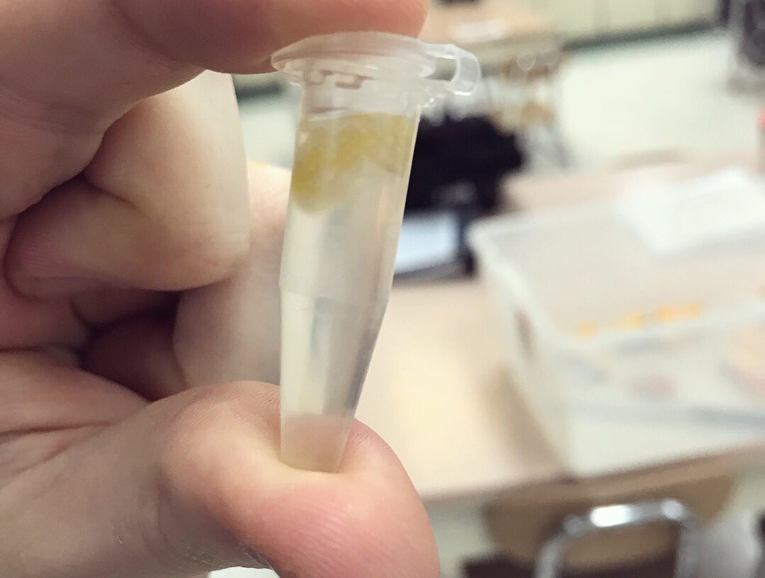 Jacob Burdette (@MisterBurdette) | Twitter