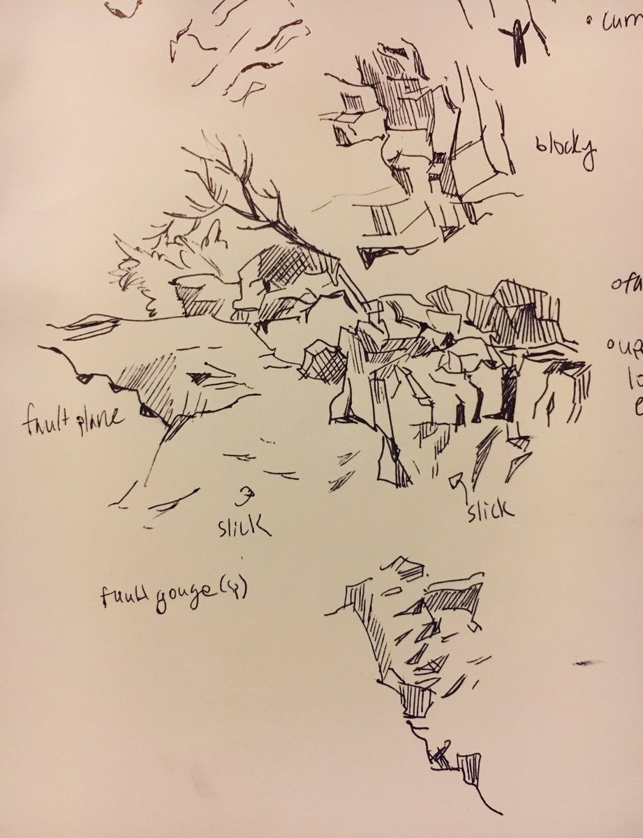 「What did we do to deserve dungeon meshi 」Chelsea 👻 MAGfest AAの漫画