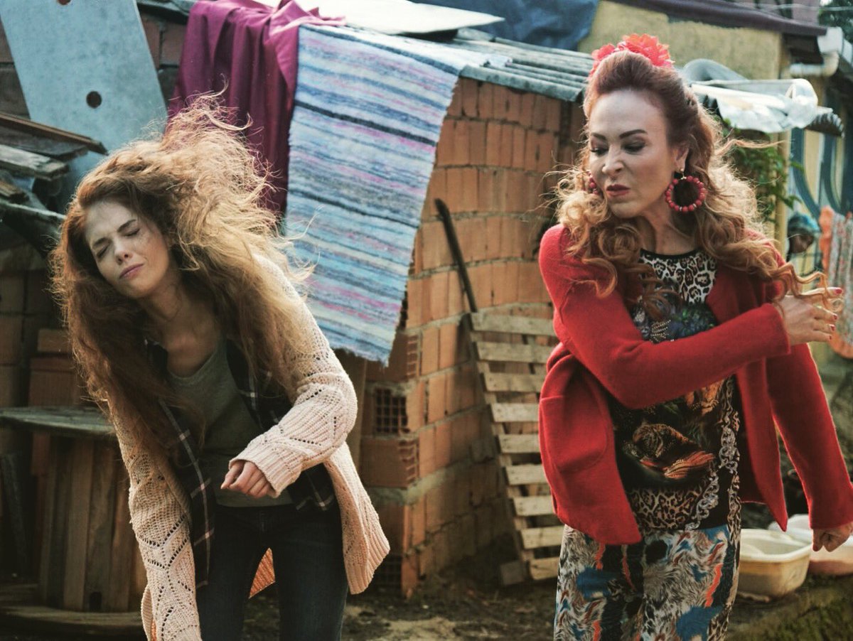 Can Sinan (@CanSinan) | Twitter