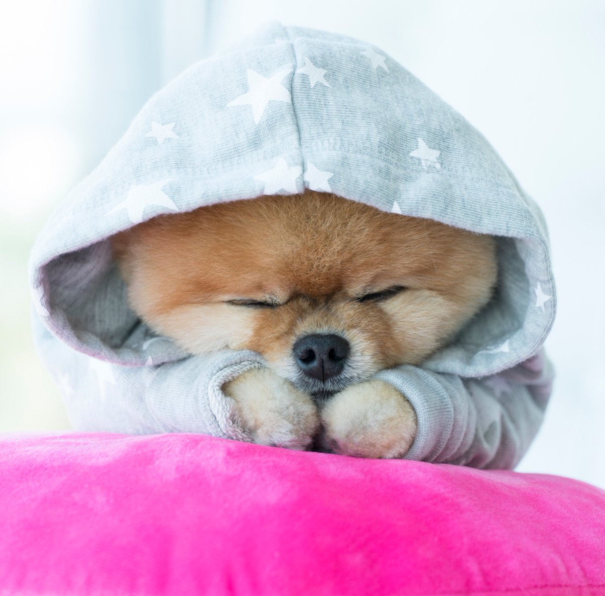 jiffpom @jiffpom Timeline, The Visualized Twitter