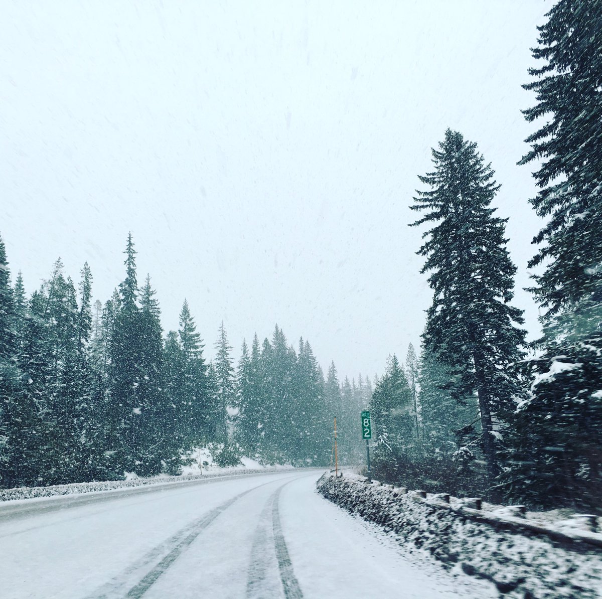 Jace (@jace_lawson) | Twitter