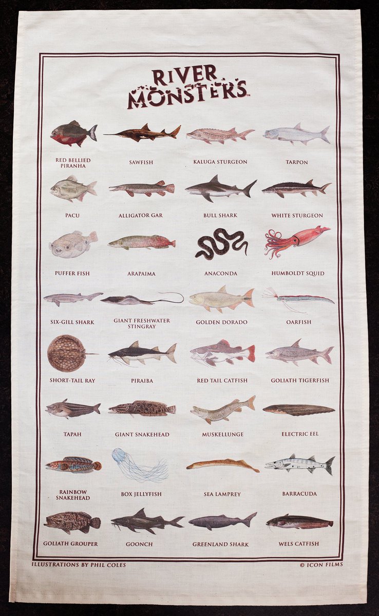 Snakehead Fish River Monsters