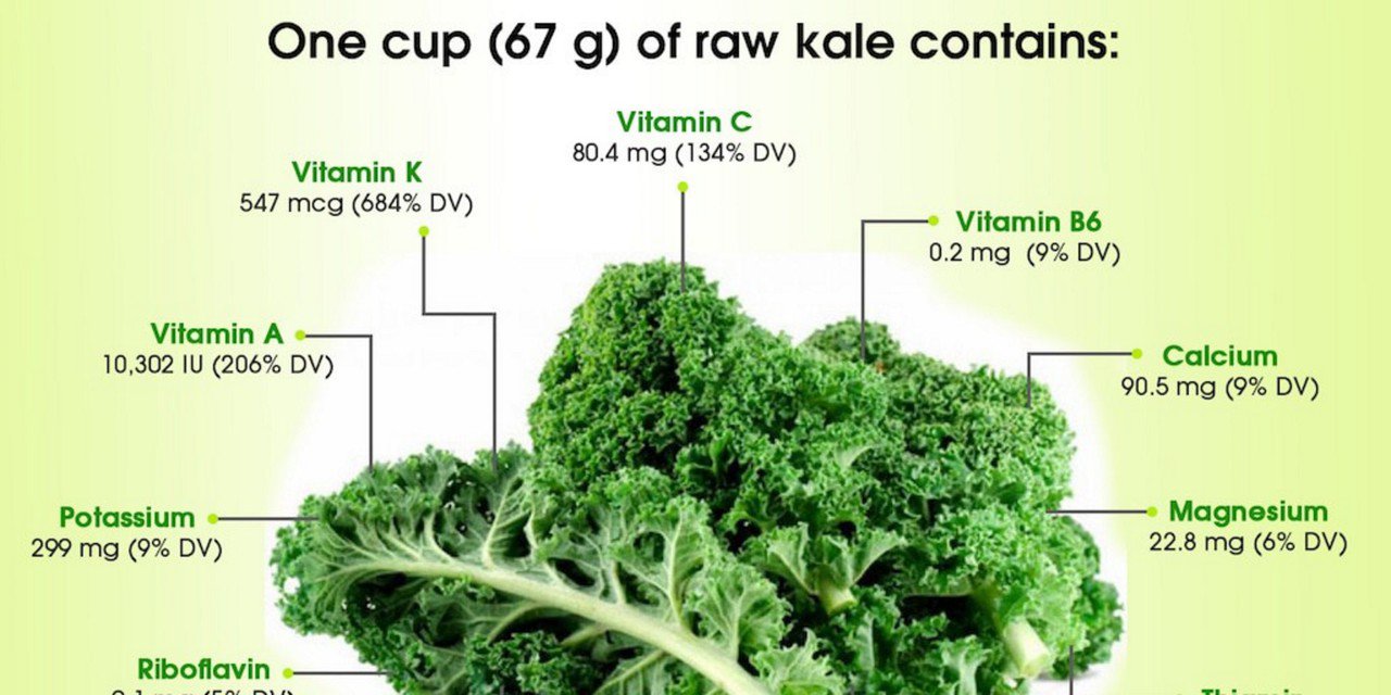 Kale Infographic