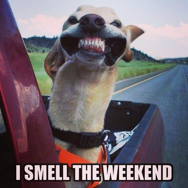 Almost Weekend Funny