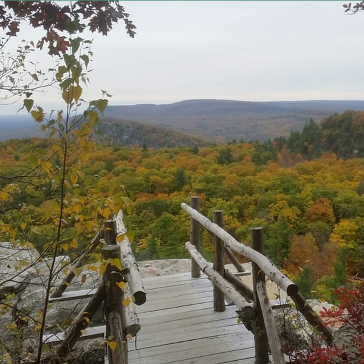 Peter Ferrante (@Peter_Ferrante) | Twitter