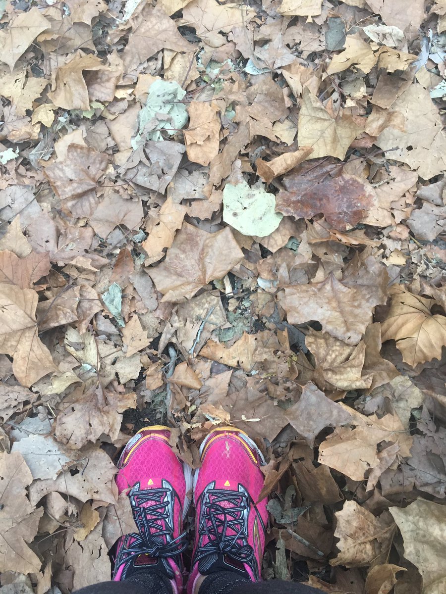 Taylor Werges (@twergesEHS_hub) | Twitter