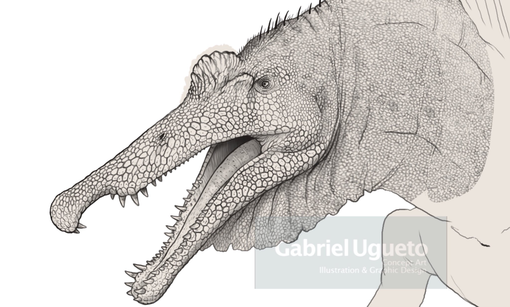 Spinosaurus Head Drawing