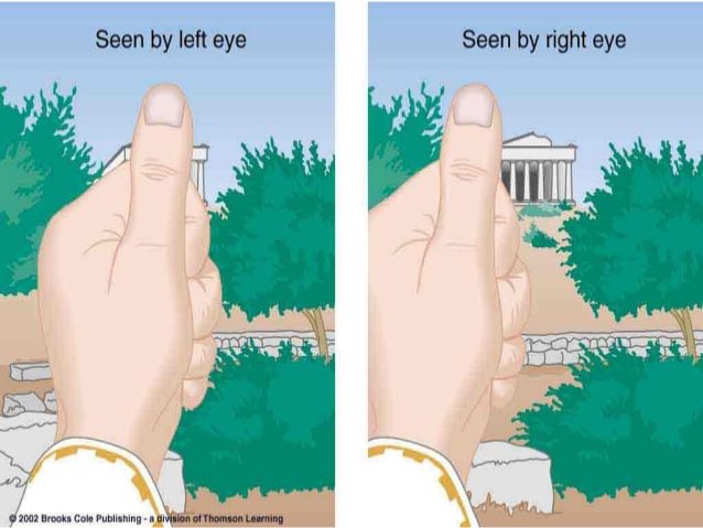 Binocular Cues For Depth Perception