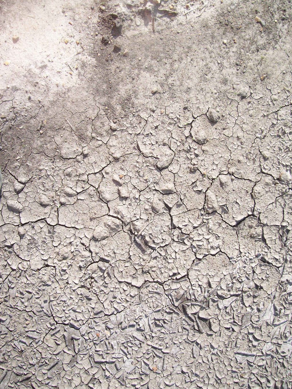 Monocular Cues Texture Gradient