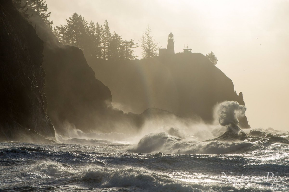 Haley Elder (@haley_elder) | Twitter