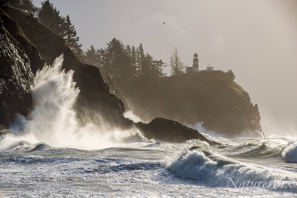 Haley Elder (@haley_elder) | Twitter