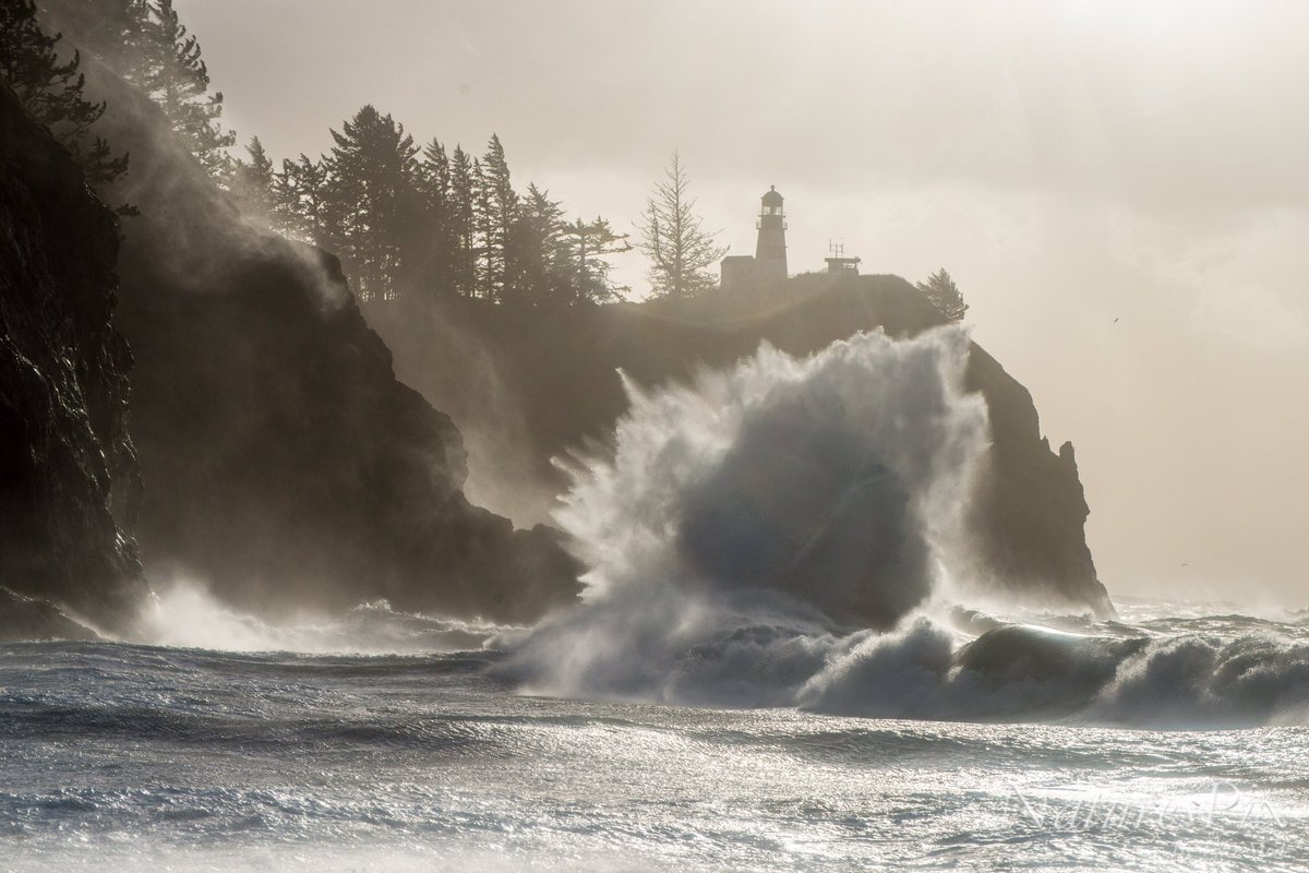 Haley Elder (@haley_elder) | Twitter