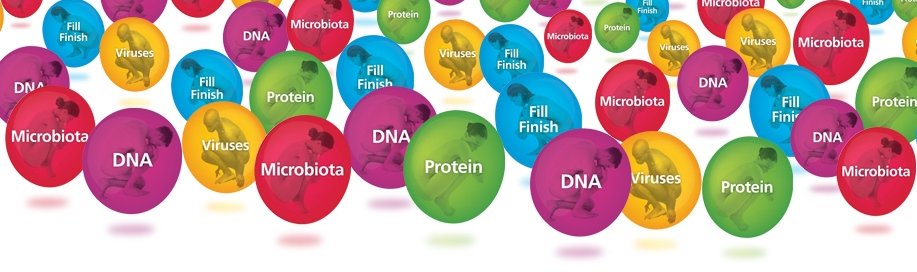 Cobra Biologics, A Charles River Company on Twitter: "Looking for an experienced CDMO to ...