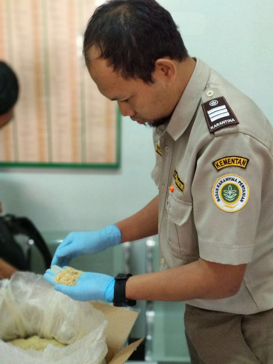 Prima Indra (@PrimaIndra2) | Twitter